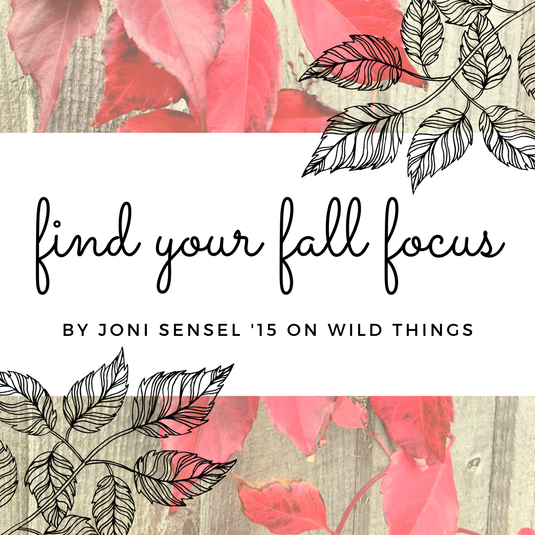 'Find Your Fall Focus' by Joni Sensel ’15 - Wild Things